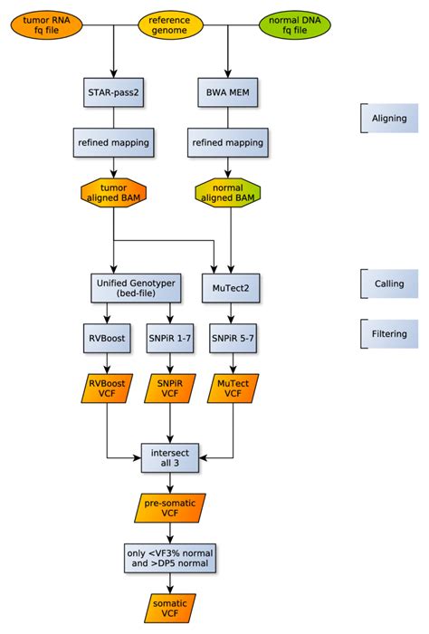 vadir workflow for processing somatic variant calls from rna seq