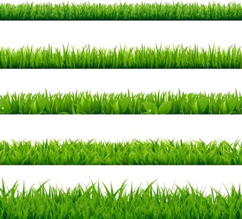 Big Grass Field Vector Images Over 940