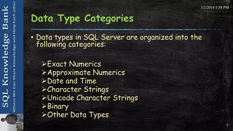 Data Type S On Ms Sql Server Pptx