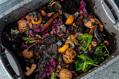 7 Ways To Compost With Coffee Grounds And Filters For Garden Ready