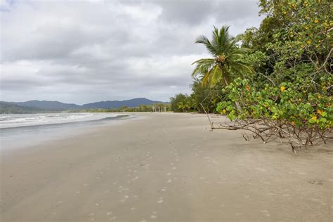 Daintree National Park Things To Do Best Tours And How To Get Here