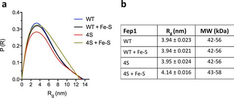 Saxs Analysis Of Fep1 A Normalized Electron Pair Distribution Download Scientific Diagram