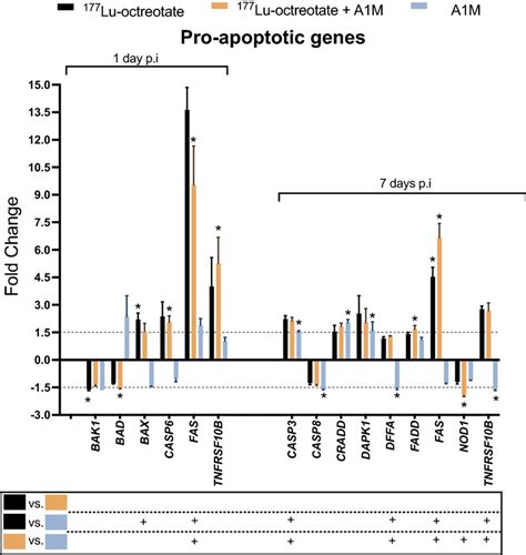Pro Apoptotic Response In Got1 Tumors After Exposure To Download