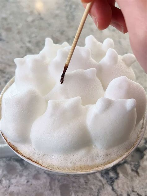 How To Make Latte Art Easy 3d Cat Latte Art With Handheld Frother
