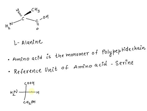 Solved Consider The Structure Of The Amino Acid L Alanine Oh