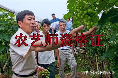 农艺师资格证怎么考 知乎