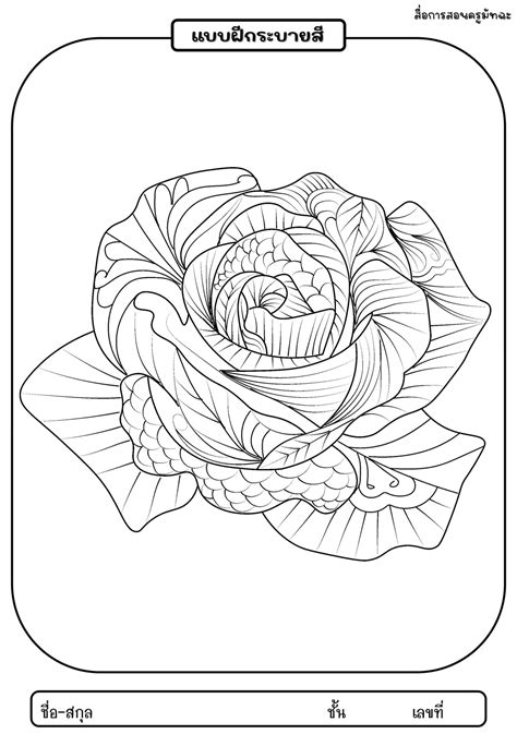 ใบงานศิลปะ ระบายสี ลายเส้น สื่อการสอนครูมัทฉะ Facebook