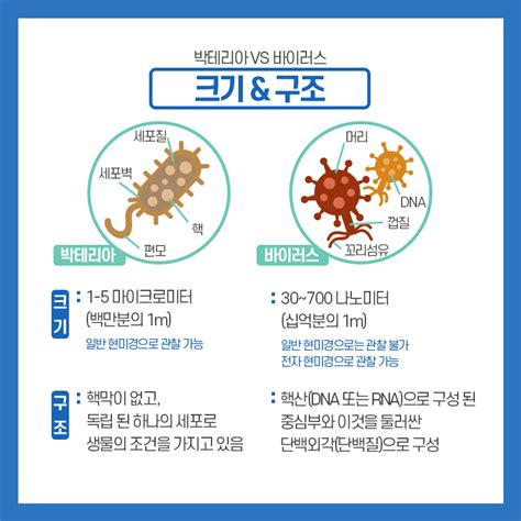 바이러스와 박테리아 같은 걸까요 네이버 포스트