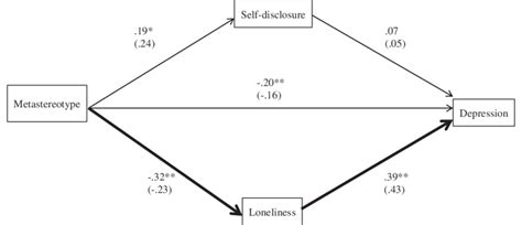 Standardized Path Values Of The Structural Equation Model Notes