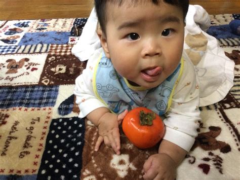 無肥料・無農薬栽培の柿を頂きました｜食べチョク｜産地直送産直お取り寄せ通販 農家・漁師から旬の食材を直送