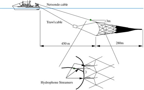 Hydrophone And Tracking Array Positioning On A Pelagic Trawl Download Scientific Diagram