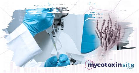 Advanced Multi Mycotoxin Analysis With Agilent 6460c Lc Ms Ms