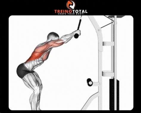 Pulldown com corda e barra: para que serve, como fazer e dicas