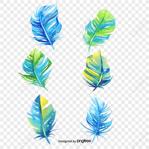 벡터 깃털 일러스트 소재요약색깔우아한 Png 일러스트 무료 다운로드 Lovepik