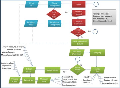 Flow Of Information Of Biospecimen Download Scientific Diagram