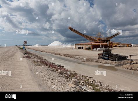 Salt Harvesting On The Salt Blue Pan On The Island Of Bonaire Stock