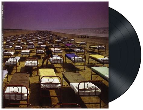 A Momentary Lapse Of Reason Pink Floyd Lp Large