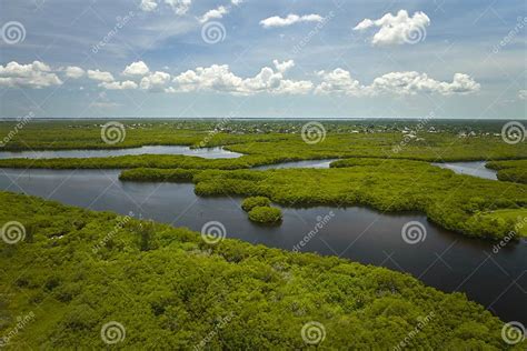 Aerial View Of Florida Wetlands With Green Vegetation Between Ocean