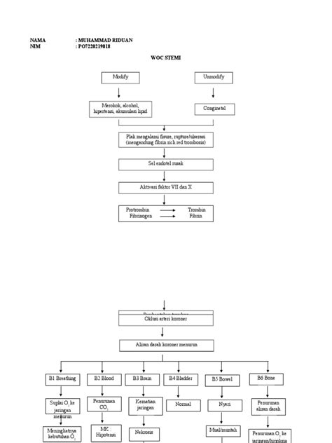 Mengatasi Stemi Dengan Tindakan Segera Pdf