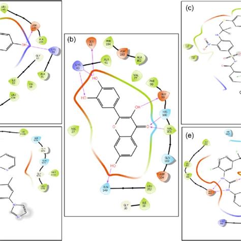 D Interaction Of The Receptors Used In This Study A CDK B CDK Download Scientific