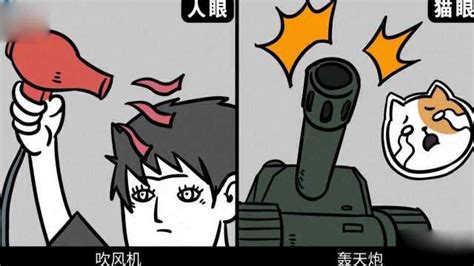 인간의 눈으로 볼 수 있는 세상은 이렇게 큰 차이가 있습니다 온라인 시청 Wetv