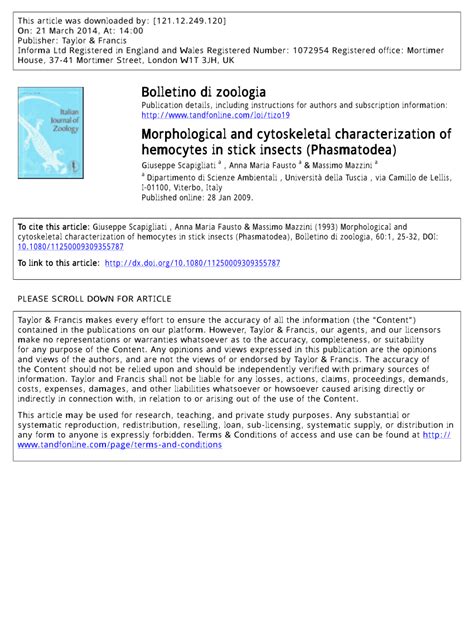 Pdf Morphological And Cytoskeletal Characterization Of Hemocytes In Stick Insects Phasmatodea