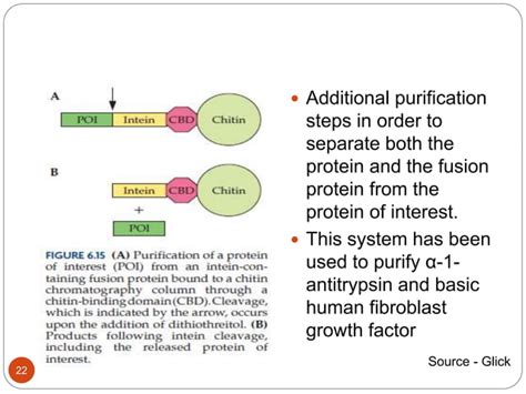 Harvesting And Downstream Product Purification Pptx
