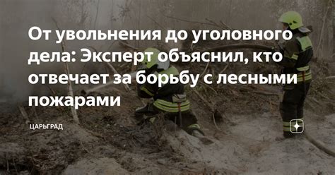 От увольнения до уголовного дела Эксперт объяснил кто отвечает за