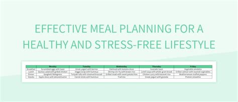 Free Meal Plan Templates For Google Sheets And Microsoft Excel Slidesdocs