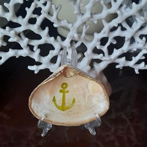 Shell Anchor Etsy