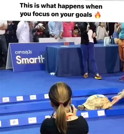 Video Monish J ☀️ On Linkedin Focus On Your Goals Dream Mindset Personaldevelopment