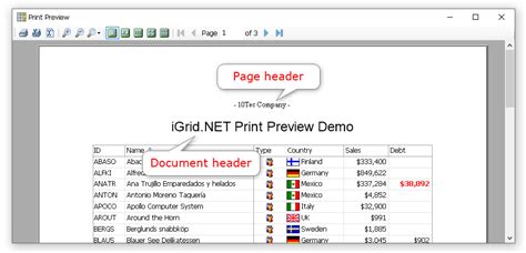Printing IGrid NET With PrintManager Add On 10Tec