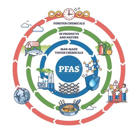 Pfas Chemicals Diagram Shows Their Cycle In Nature Highlighting Pollution Stock Vector