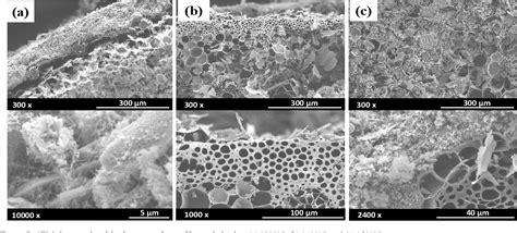 Figure 7 From Synthesis Of Sic Nanowires On Biochar Surfaces By A Simple Direct Method
