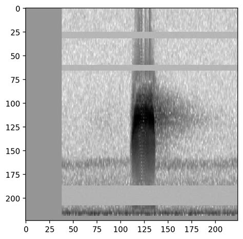 Preprocess Audio Samples — Opensoundscape 0120 Documentation