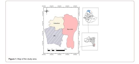 Applications Of Multivariate Multiple Linear Regression Models To Predict Body Weight Of Local