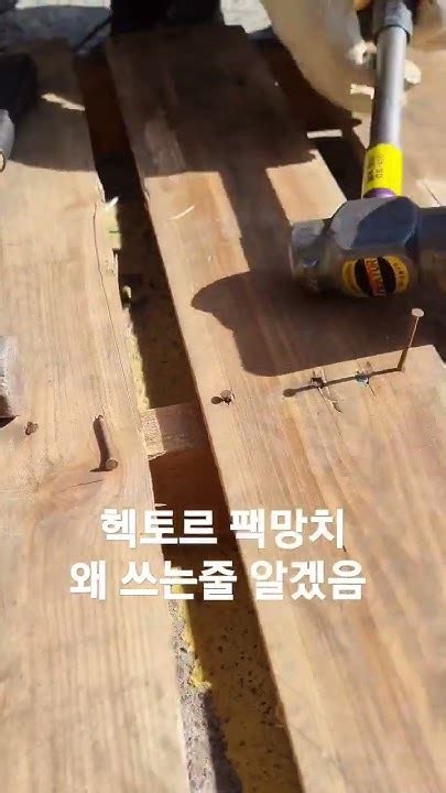 서민갑부 헥토르 망치 잡는순간 토르가 되었음 Youtube