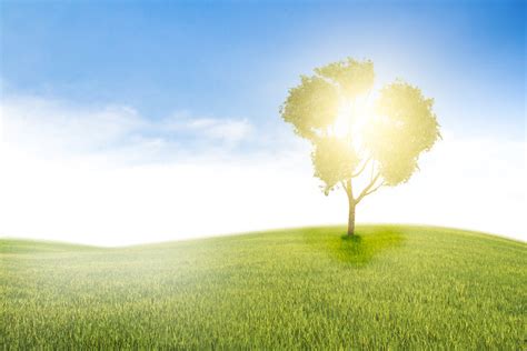 Biodegradable Drug Test Kits Sustainable Drug Screening Ukdrugtesting