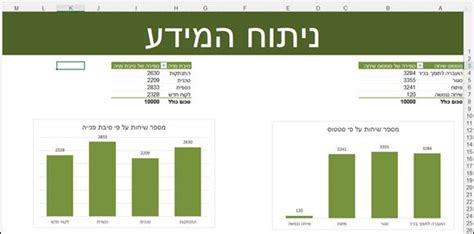 תצוגות מותאמות אישית מעין פולג אקסל למתקדמים