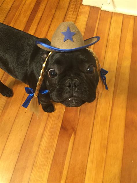 This Cowgirl Scrolller