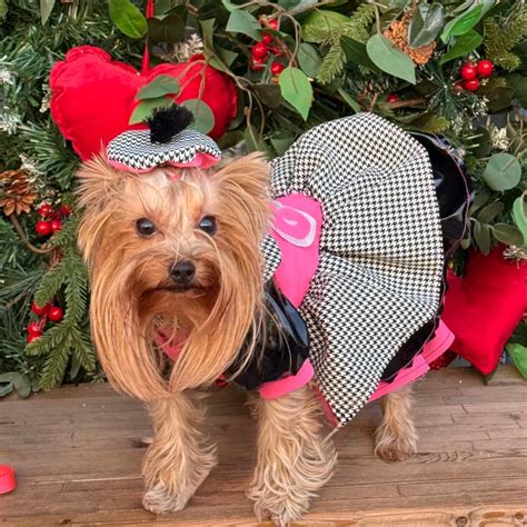 ბოლომდე საყურებელი 😂😂😂😂😂 მიკიდამინი ნერვებისპუწი მიკი და მინი