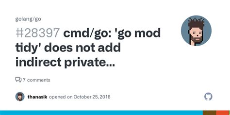 Cmd Go Go Mod Tidy Does Not Add Indirect Private Dependencies