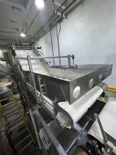 Fruit Processing And Packaging Equipment Rabin Worldwide