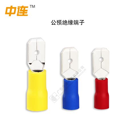 连接器厂家 接线端子工厂 铜鼻子生产厂家 冷压端子制造厂 尼龙端子厂家 广东中连电子有限公司 连接器 接线端子 冷压端子 防水热缩端子 Pvc冷压端子 尼龙端子 裸端子 铜鼻子 焊锡环热缩管