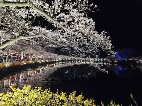 부부간의 ‘말을 전달하는 방법은 ‘사랑이라는 무기보다 더 중요한 방패입니다 부부는 서로 상대방을 배려하는 마음에 이렇게 말을 합니다 독서 인in 심리학