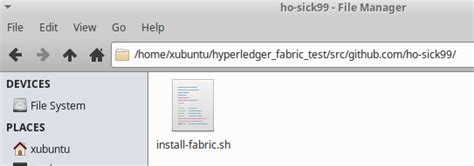 Hyperledger Hyperledger Fabric Test Network 구성 2