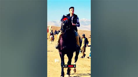 اسپ سیاه مشکی بدخشان Youtube