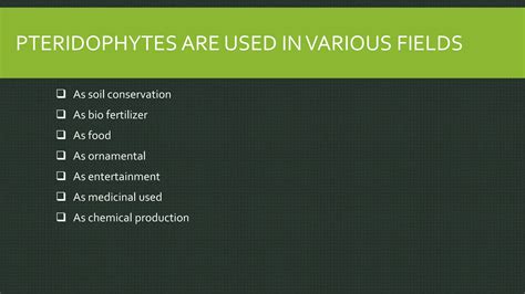 Pteridophytes Exploring The World Of Pteridophytes Pptx