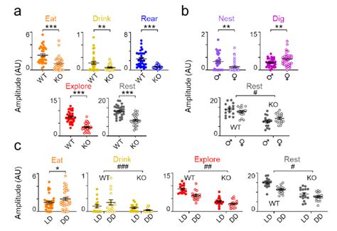Behavioral Rhythm Amplitudes Differ By Genotype Sex And Light Cycle Download Scientific