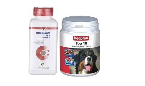 Savsubh Nutrisam 365 Brisket 100 Tab Multi Mineral And Vitamin